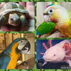 Manchester Pets & Aquatics | AI Review Summary