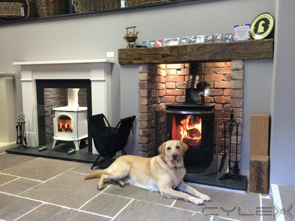 Shields Stoves & Fireplaces, Tavistock | AI Review Summary