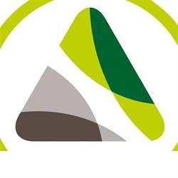 Medina College | Foundation Schools, Newport