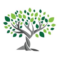 Springwood Surgery Guisborough | General Practitioners