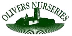 Olivers Farm Nurseries, Witham | AI Review Summary