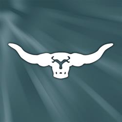 Horner Shearing | Sheep Shearing, West Bradford