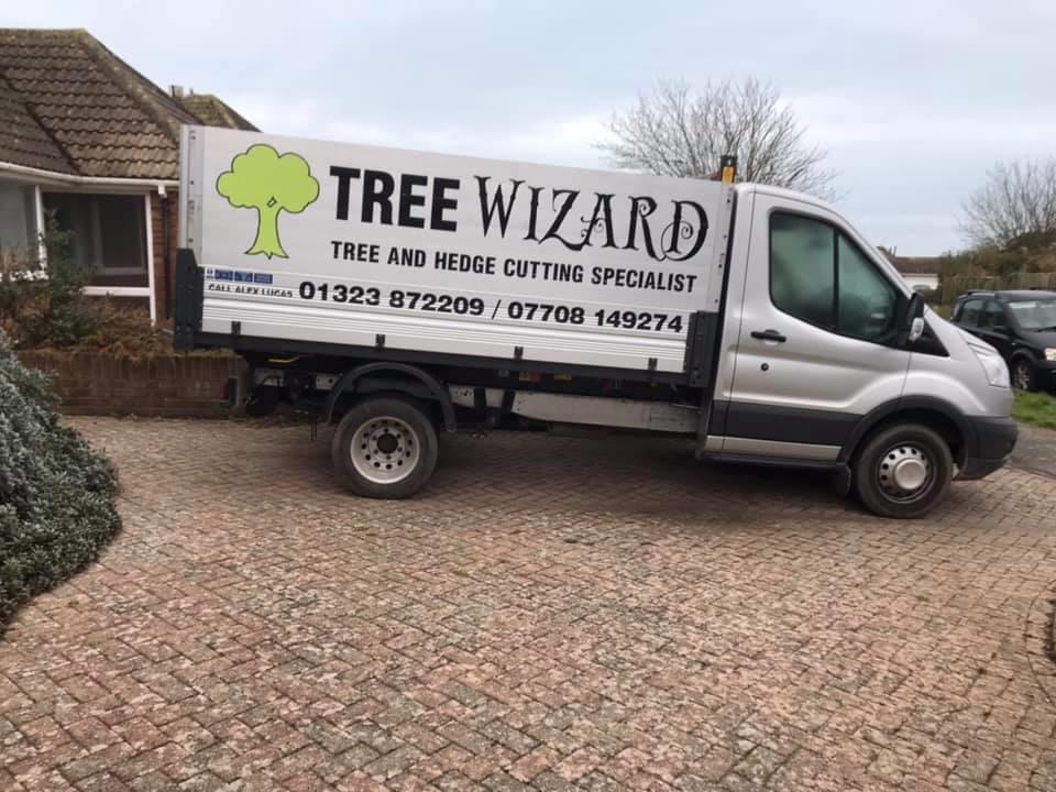 Tree Wizard Sussex Ltd, Seaford | AI Review Summary
