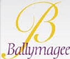 Ballymagee Primary School, Bangor