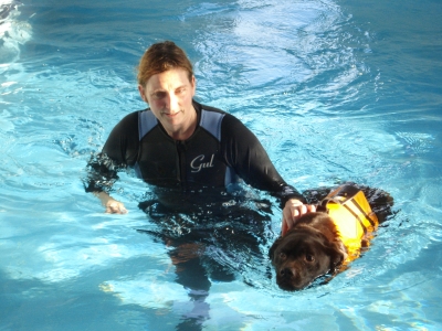 Well-Dogs Hydrotherapy Pool | Veterinarians, Wrinehill
