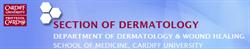 Department Of Dermatology, Cardiff