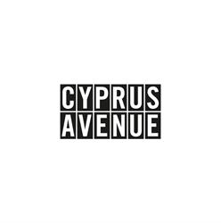 Cyprus Avenue, Belfast | AI Review Summary