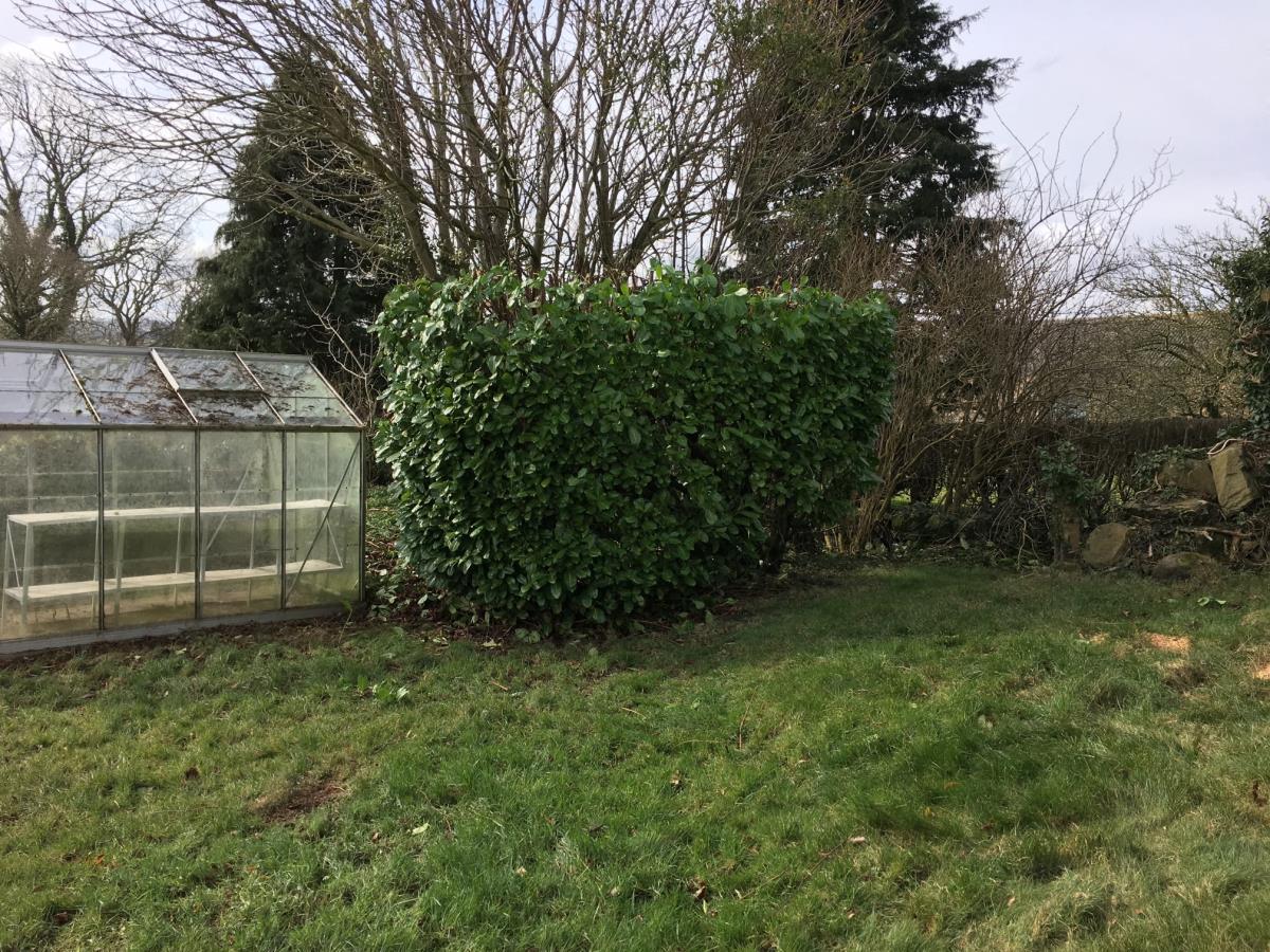 Prestige Tree & Landscaping, Wingate