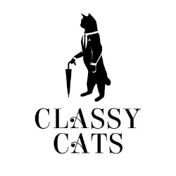 Classy Cats | Pet Groomers, Plymouth