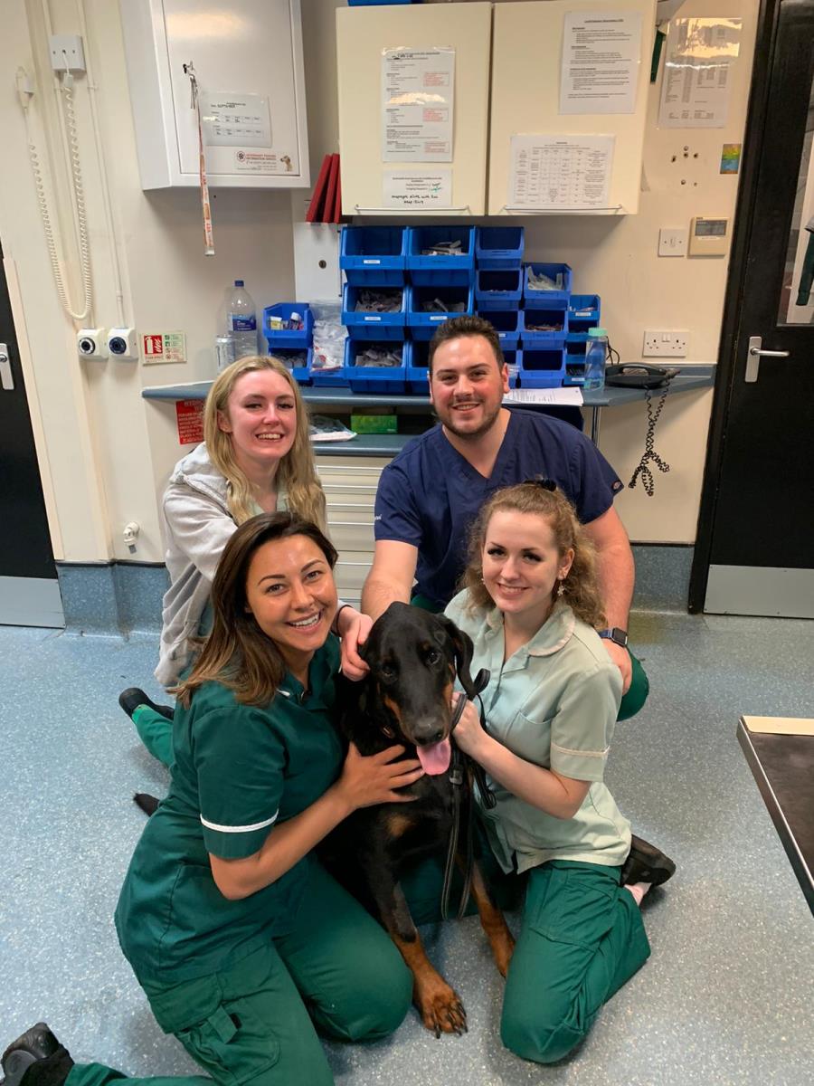 Forest Veterinary Centre, Epping