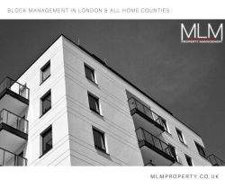 MLM Property Management, Hatfield