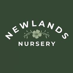 Newlands Nursery, Chatburn | AI Review Summary