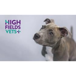Reviews about Lime Trees Veterinary Hosptial - Meir Park in Stoke-on ...
