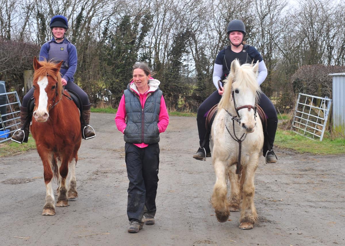 Heart of Wales Riding School | Hotels, Dolau
