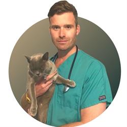 Goostrey Lane Vets, Cranage