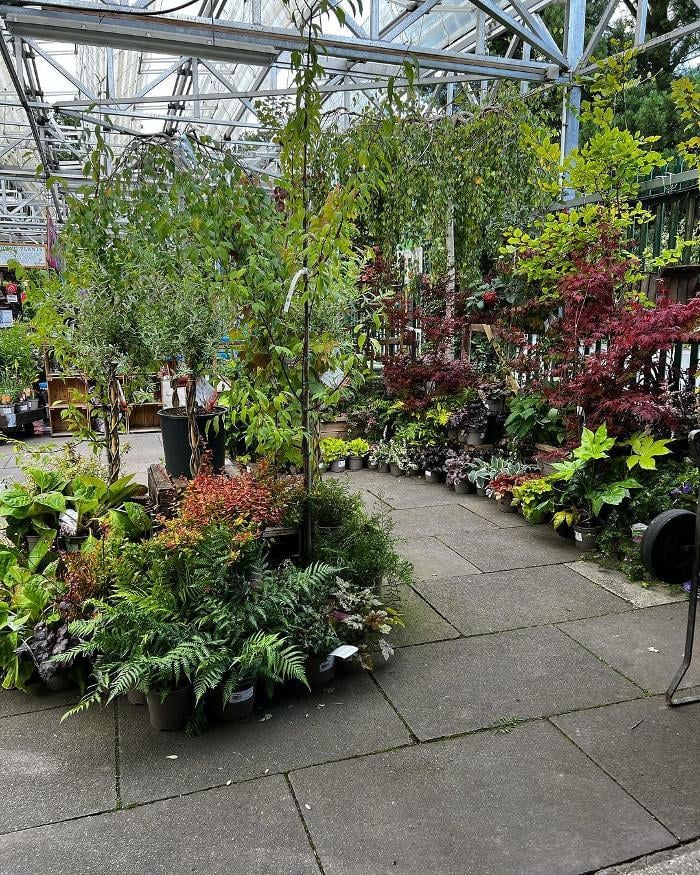 Birkacre Garden Centre, Chorley