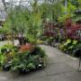 Birkacre Garden Centre, Chorley