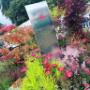 Birkacre Garden Centre, Chorley