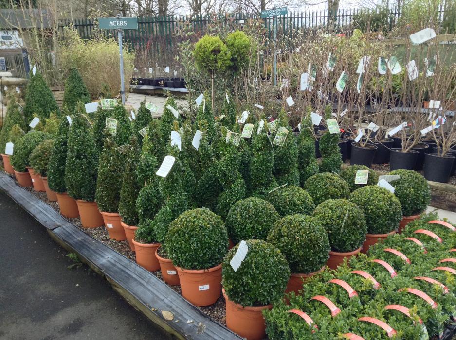 Birkacre Garden Centre, Chorley
